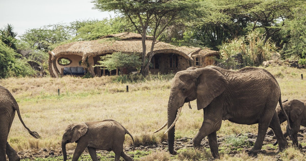 Lewa House - Journeysmiths