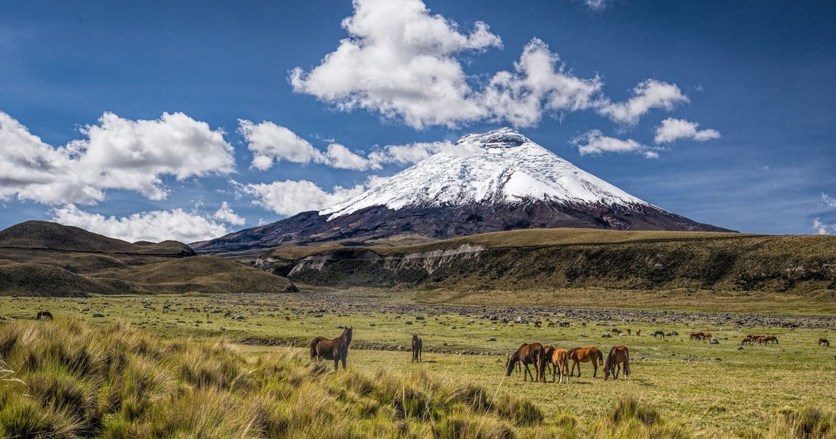 Top 10 Ecuadorian Activities - Journeysmiths