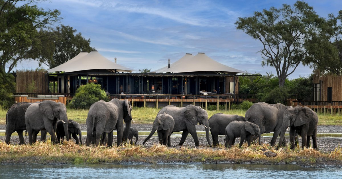 Daunara Safari Camp – Exclusive Luxury in Botswana’s Okavango Delta ...