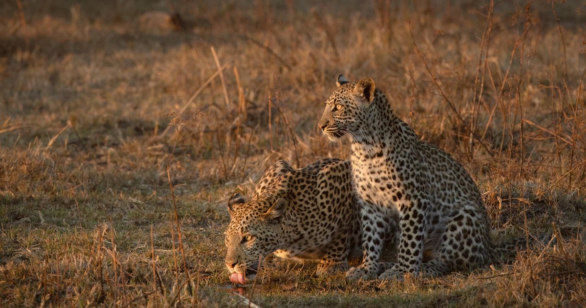 Travel Calendar January - Journeysmiths