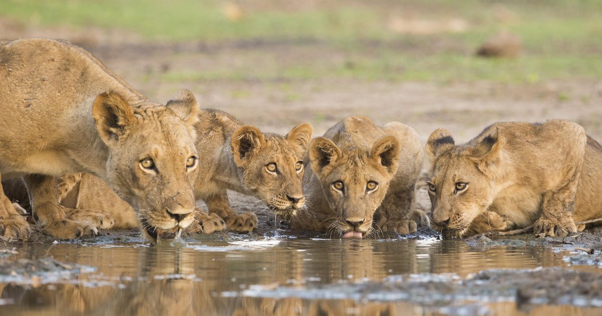 Zimbabwe - Journeysmiths