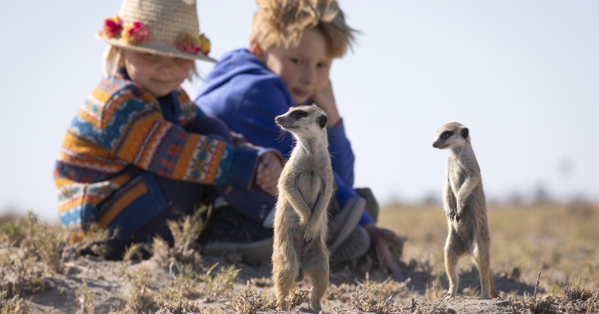 Meet The Meerkats on a Kalahari Adventure - Journeysmiths