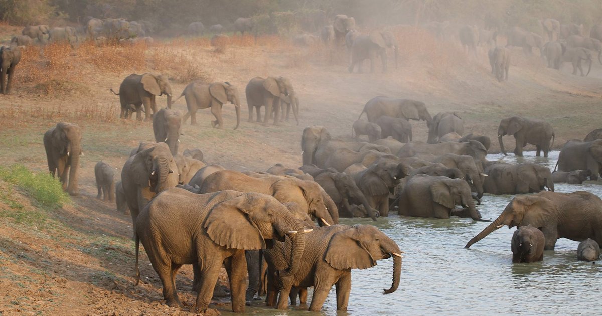 Planet Earth III Filming Locations: Episode 3 - Deserts and Grasslands ...